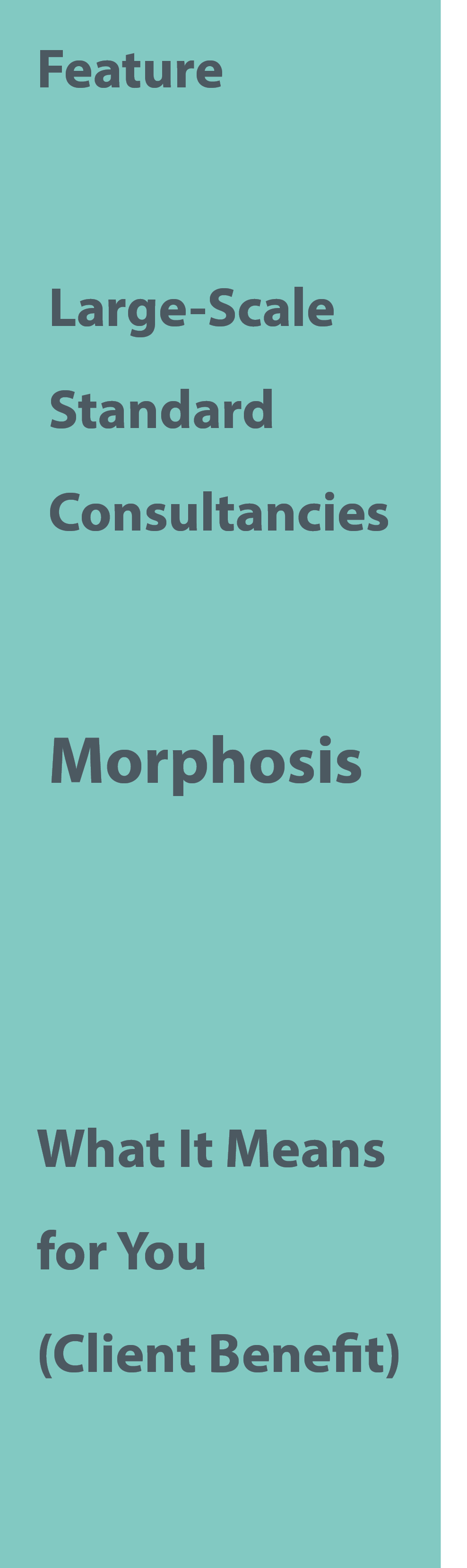 About Us | Morphosis Group